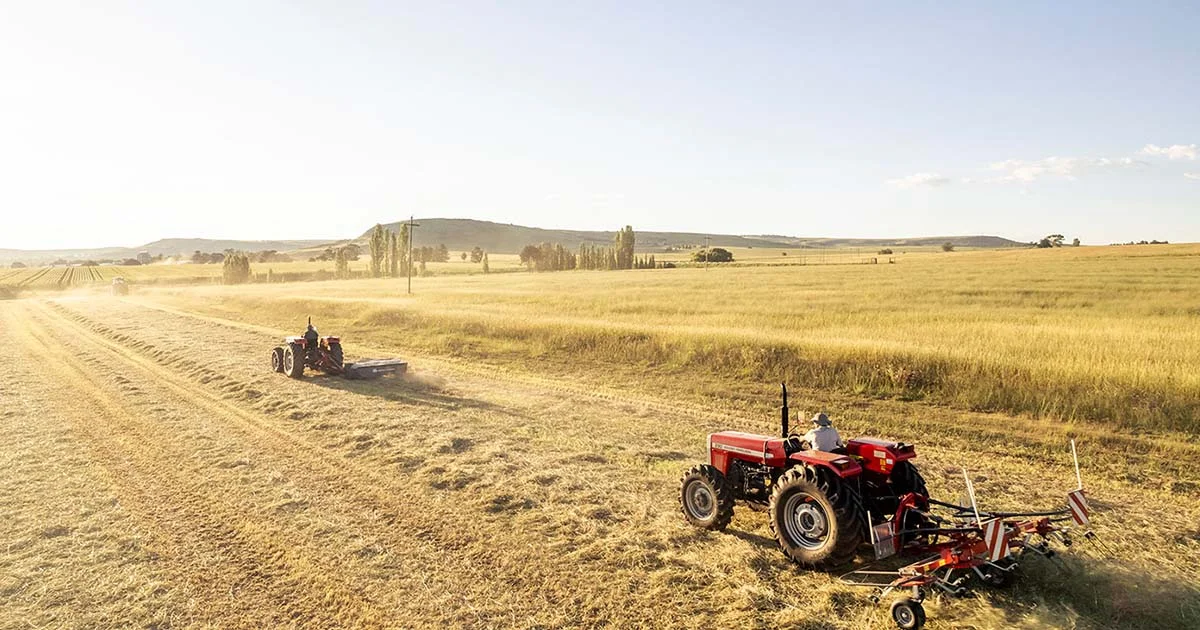 Sorghum and Maize Farming with Tractors in Somalia - Massey Ferguson ...